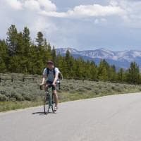 Stephen Snodgrass - LinkedIn