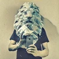 Marco Leone - Facebook, LinkedIn